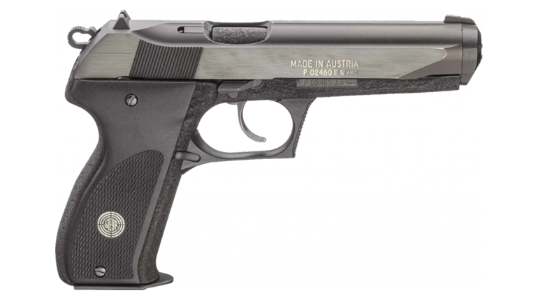 Glock G29 SF VS Steyr GB | GunExplore